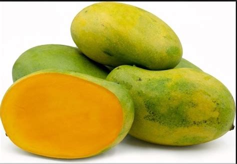 Mango Fajari Buy Online