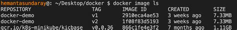 How To Pass Environment Variables To Docker Containers