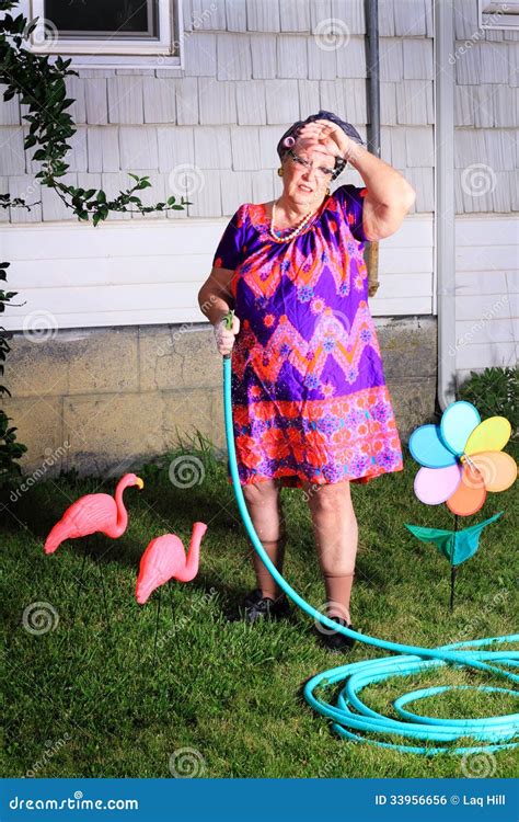 Tired Granny Doing Yard Work Royalty Free Stock Image Cartoondealer