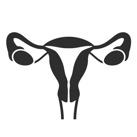 Rahim Ilustrasi Foto Stok Potret And Gambar Bebas Royalti Istock