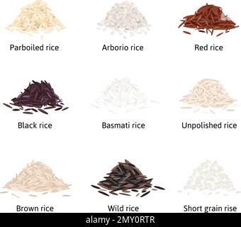 Rice Types Flat Set Of Isolated Images With Piles Of Rice Grits With Editable Text Captions