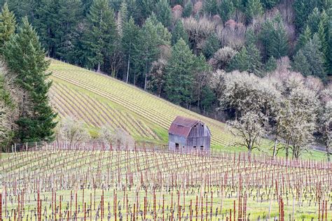 Mark Clifford Flickr