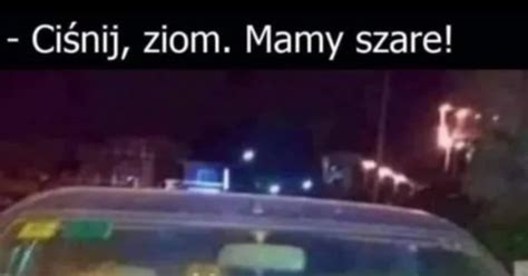 Jedziemy Na Suczki Panowie