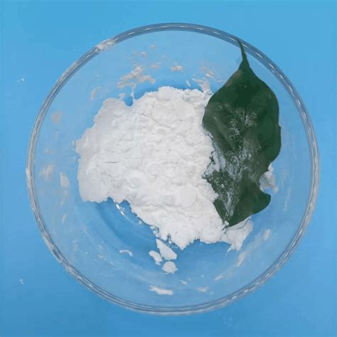 Dofetilide 98 Chemicalbook India