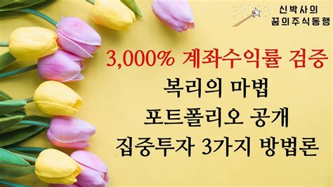 차트심리이론 3000 계좌수익률 검증 복리의 마법과 포트폴리오 공개 집중투자 3가지 방법론 Youtube