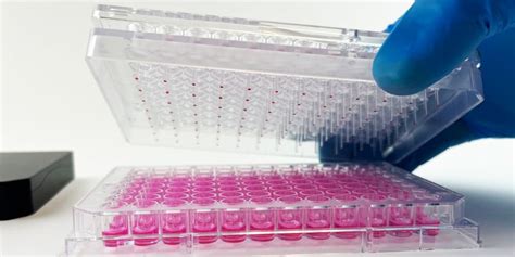 Mastering Metabolic Analyses With Optimized Normalization Methods Lab
