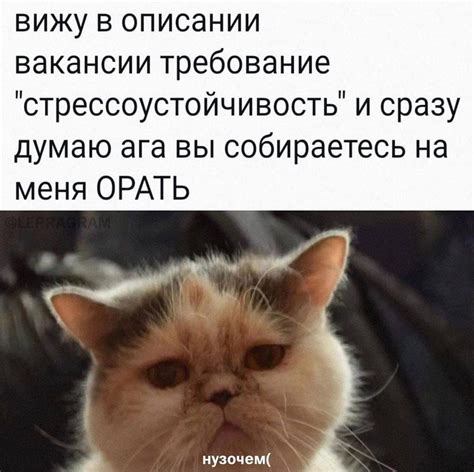 Tetiana K Posted On Linkedin