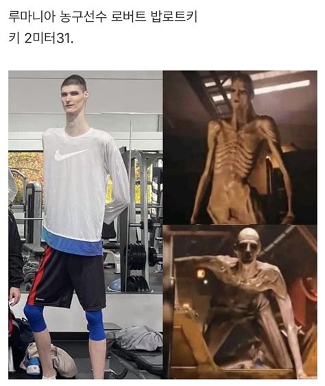 에일리언 로물루스 의외의 사실 유머 움짤 이슈 에펨코리아