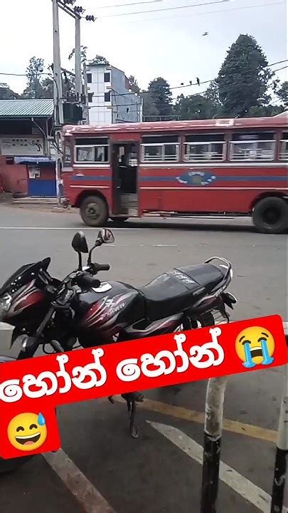 කොහොමද ගහ්පු හෝන් පාර 👍👍👍😃😭 Youtube