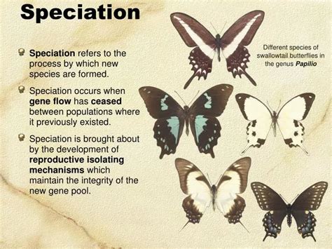 Ppt Speciation Powerpoint Presentation Free Download Id 4671474