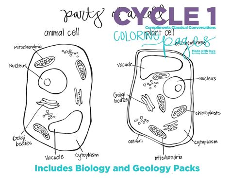 4th Edition Cycle 1 Science Coloring Pages Etsy