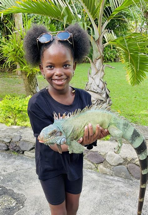 Konoko Falls Exotic Excursion