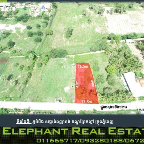 Tcd ទិញនិងលក់ឡានគ្រប់ប្រភេទ Phnom Penh