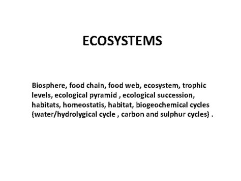 Ppt Ecosystems Pptx