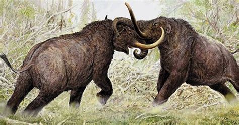 Are You Joining Mastodon You Should
