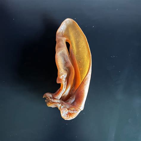 Cows Ears Handmaidts