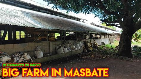 Pagbisita Sa Malaking Babuyan Ng Masbate Youtube