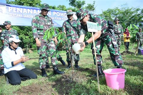 Cegah Banjir Dan Longsor Dandim Madiun Tanam Ratusan Pohon Di Gunung