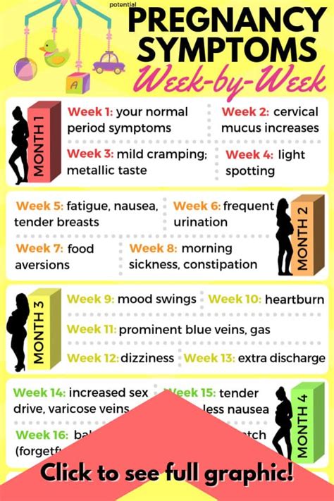 Pregnancy Week By Week Symptoms Fetus Growth Stages