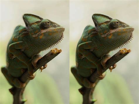 What Is Stereoscopic Technology A Comprehensive Guide