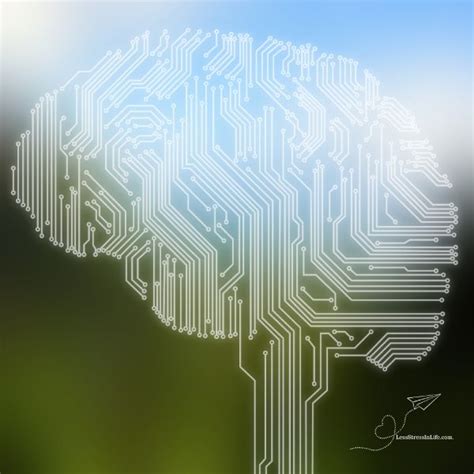 Lara Lauer Posted On Linkedin