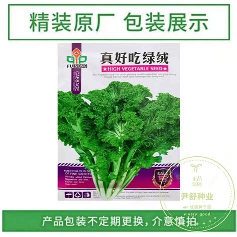 绿绒春不老菜 春不老绿绒菜图片 第2页 大山谷图库