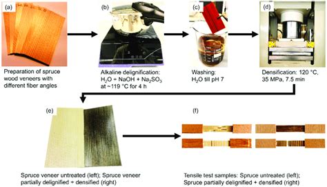 Key Treatment Steps In The Preparation Of Partially Delignified And