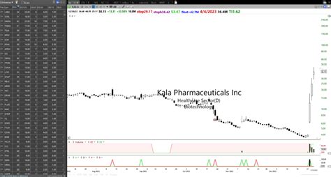 Tc2000 Shared Layout From Easyguru