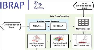 IBRAP Integrated Benchmarking Single Cell RNA Sequencing Analytical