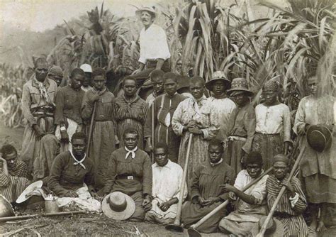 Blackbirding Pacific Islands Indigenous Peoples Colonialism