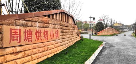 花之韵集团