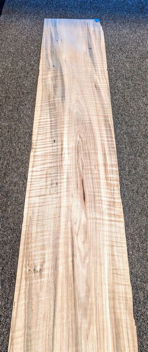 Maple Spalted Ambrosia Wormy Figured Fiddleback Wood Veneer 10 X 59