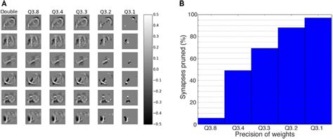 Impact Of Weight Bit Precision On The Representations Within A DBN A