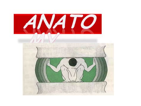 Intervertibral Disc Prolapse Pptx