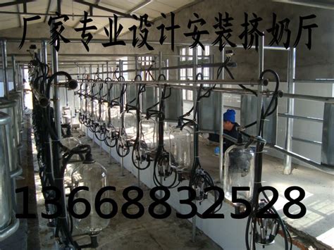 厂家专业设计安装大型挤奶机设备鱼骨式中置平面式挤奶厅虎窝淘