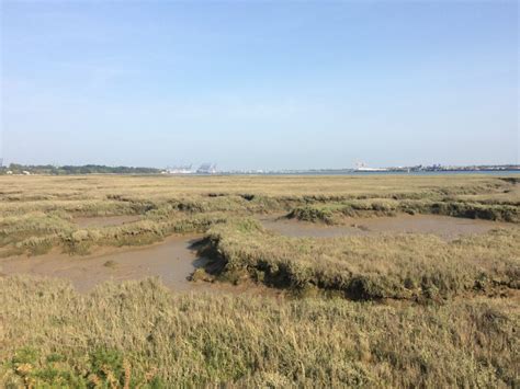 GIS Mapping Data Analysis Eco Marine Consultants