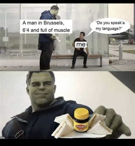 Pin By Johnny On Meme S T Funny Jokes Memes Funny Pictures