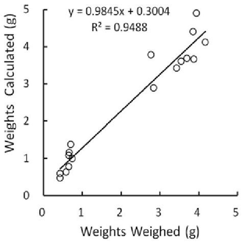 A Correlation Between The Testicular Volume And The Real Testicular