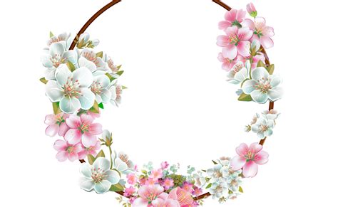 Ornamen Bunga Undangan Pernikahan Png Ide Bingkai Undangan My Xxx Hot