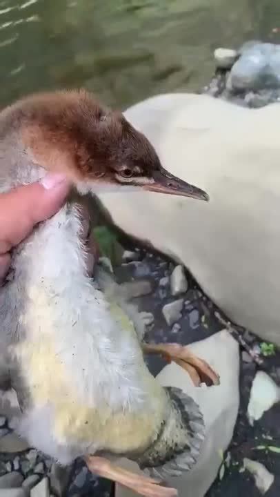 Dilshad Ahmed Posted On Linkedin