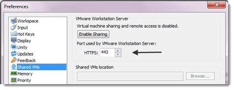 Possible Conflict With IIS By Default When Sharing VMs Under VMware