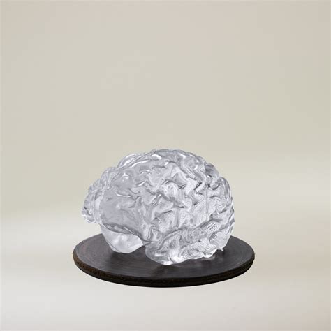 Glass Brain Sculpture Elevate Your Space With A Glass Brain Sculpture Unique Art Decor