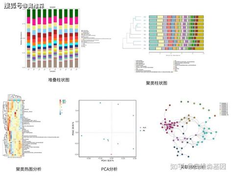 宏基因组分析再升级碳氮磷硫等循环功能特征分析上线啦 知乎