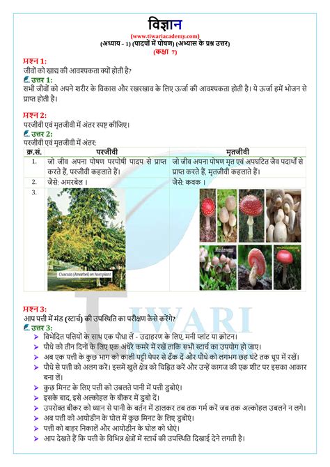ककष वजञन अधयय पदप म पषण एनसईआरट समधन