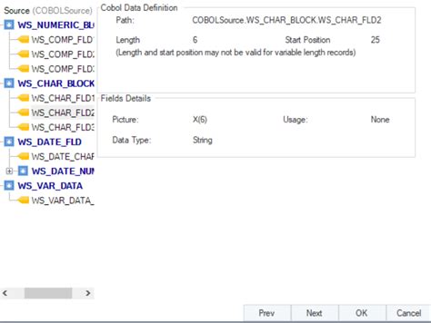 Cobol File Source Astera Data Stack