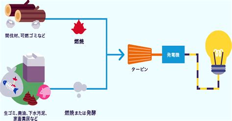 生物資源を活用する「バイオマス発電」の課題とは？ Nの広場