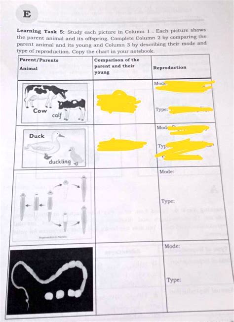 SOLVED Type Mode PA SAGOT PO PLEASE 5 Learning Task 5 Study Each