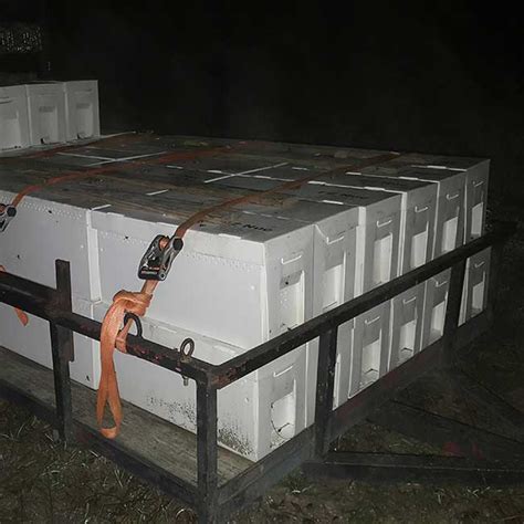 Bee Nucs For Sale Quality Honey Bee Packages From Bee Serious Llc