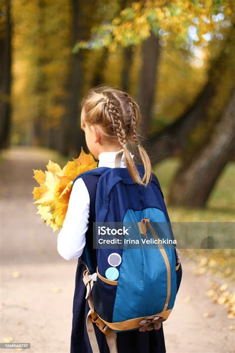 피그테일드레스를 입은 한 어린 소녀가 커다란 파란색 배낭을 들고 노란 단풍나무와 함께 가을 나무 공원에서 도로 골목을 걷고 있습니다 초등학교 9월 첫째 날 땋은 머리에 대한