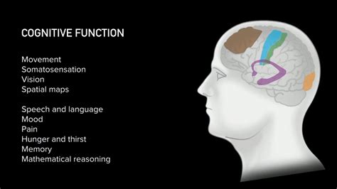 Linterface Neuronale Directe le début dun futur prometteur mais la